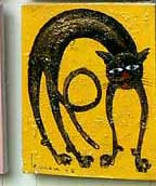 Martin Rapp - Website